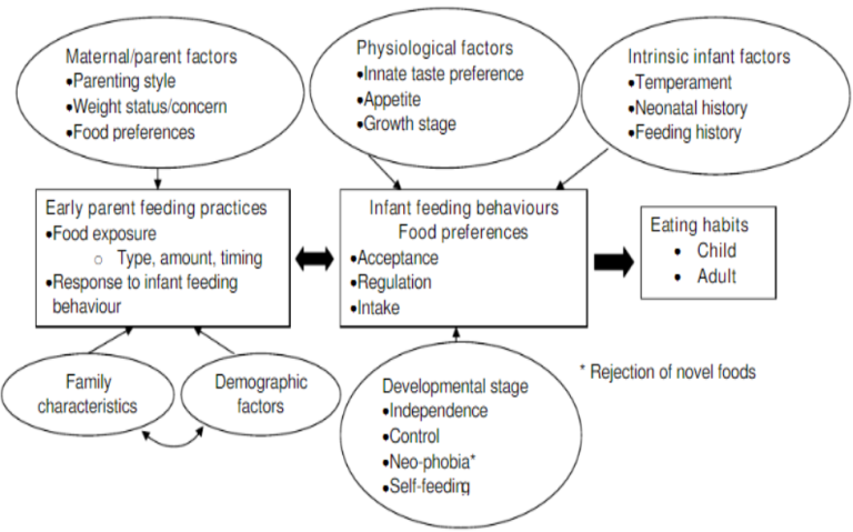 Responsive Feeding – Australasian Association of Parenting and Child Health